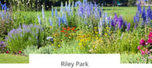 Parks Directory